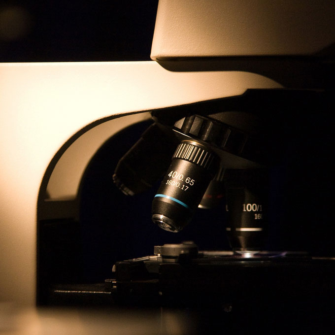 Professional Focus | The English Farm