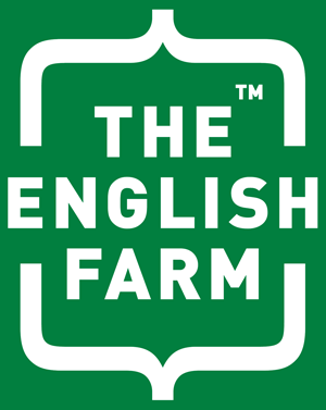 First Lesson Elevator pitch | The English Farm
